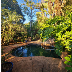 Gallery – Bali at Willinga Lodge