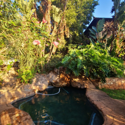 Gallery – Bali at Willinga Lodge