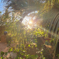 Gallery – Bali at Willinga Lodge