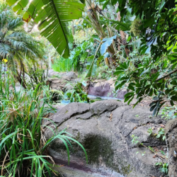 Gallery – Bali at Willinga Lodge